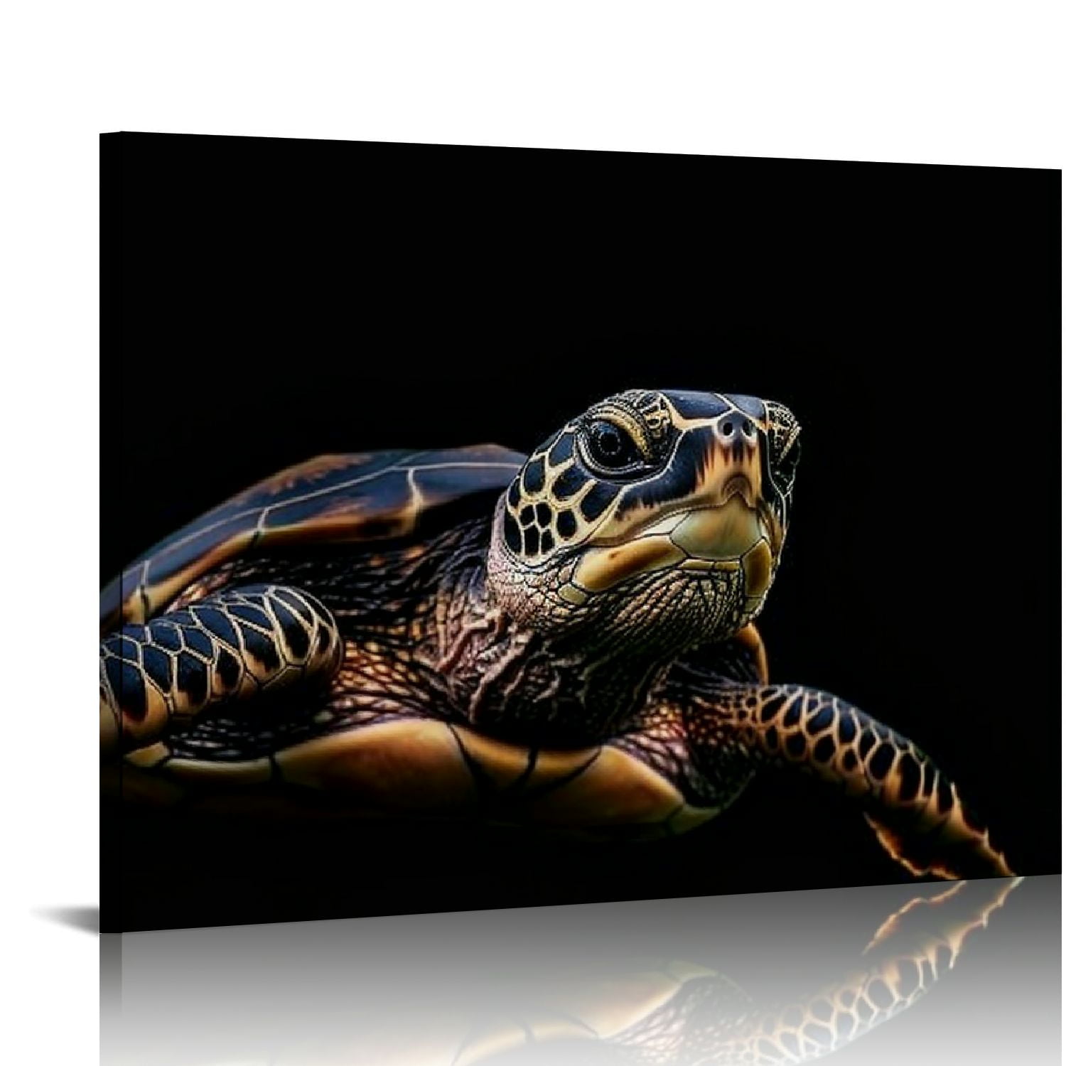 Nawypu Canvas Wall Art Sea Turtle Poster Pictures Wall Decor Animal ...