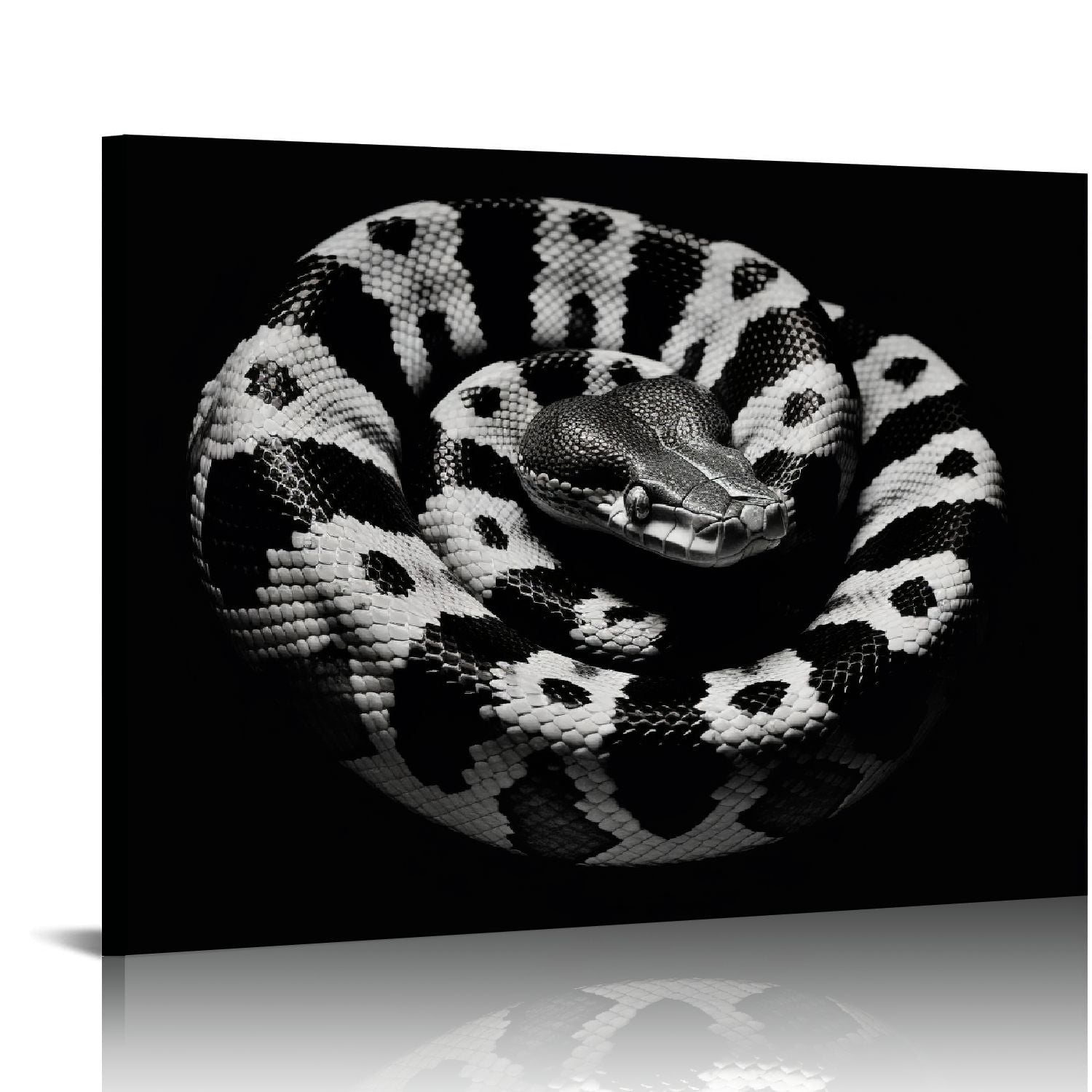 Nawypu Canvas Wall Art Snake Black And White Posters Pictures Wall ...