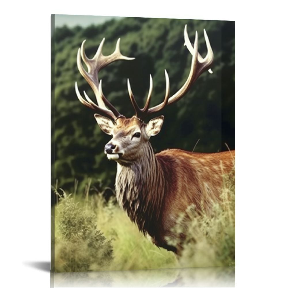 Nawypu Canvas Wall art Animal art Deer picture Bathroom Photo Wall ...