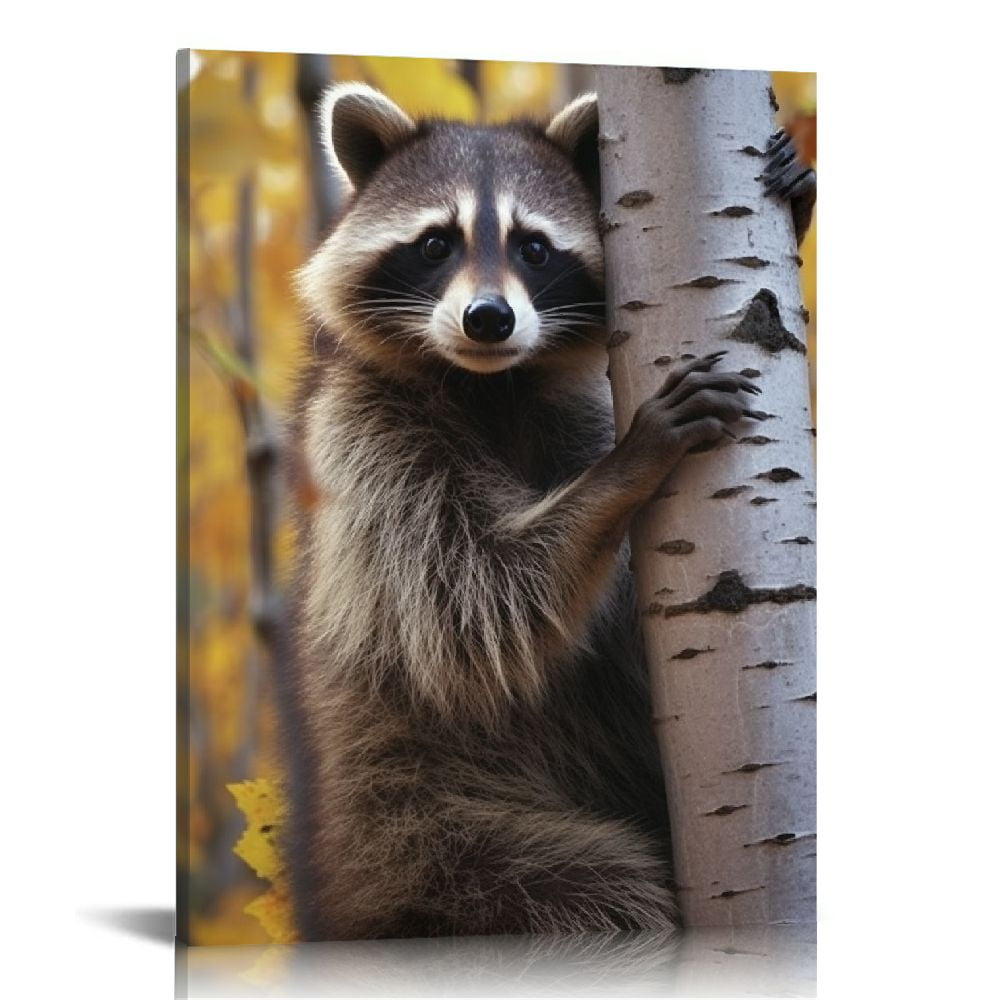 Nawypu Curious Raccoon Animal Wall Art Decor, This Unique Coon Gazing ...