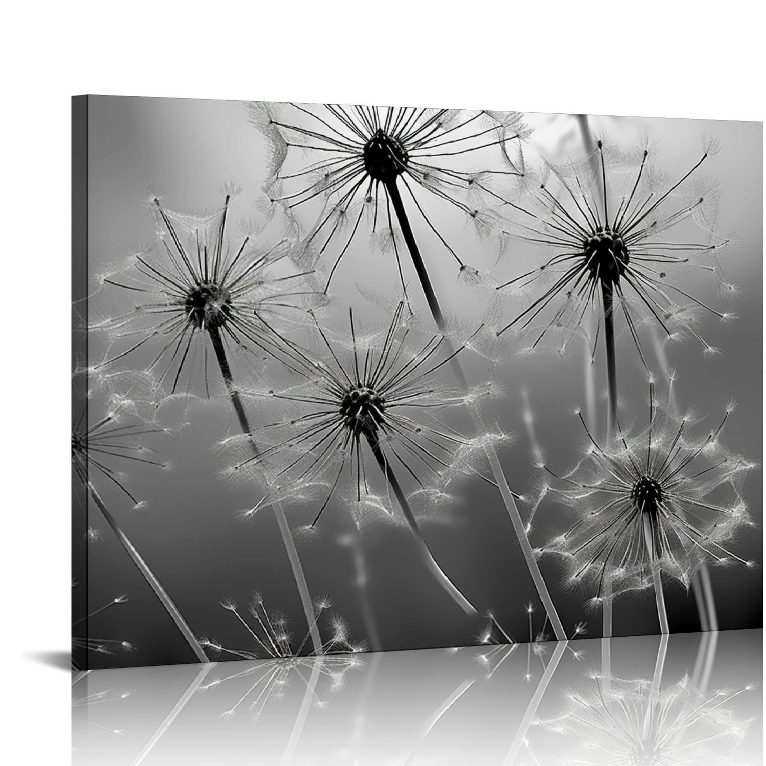 Nawypu Dandelion wall art Painting Bathroom Decor Wall Art Canvas Print ...