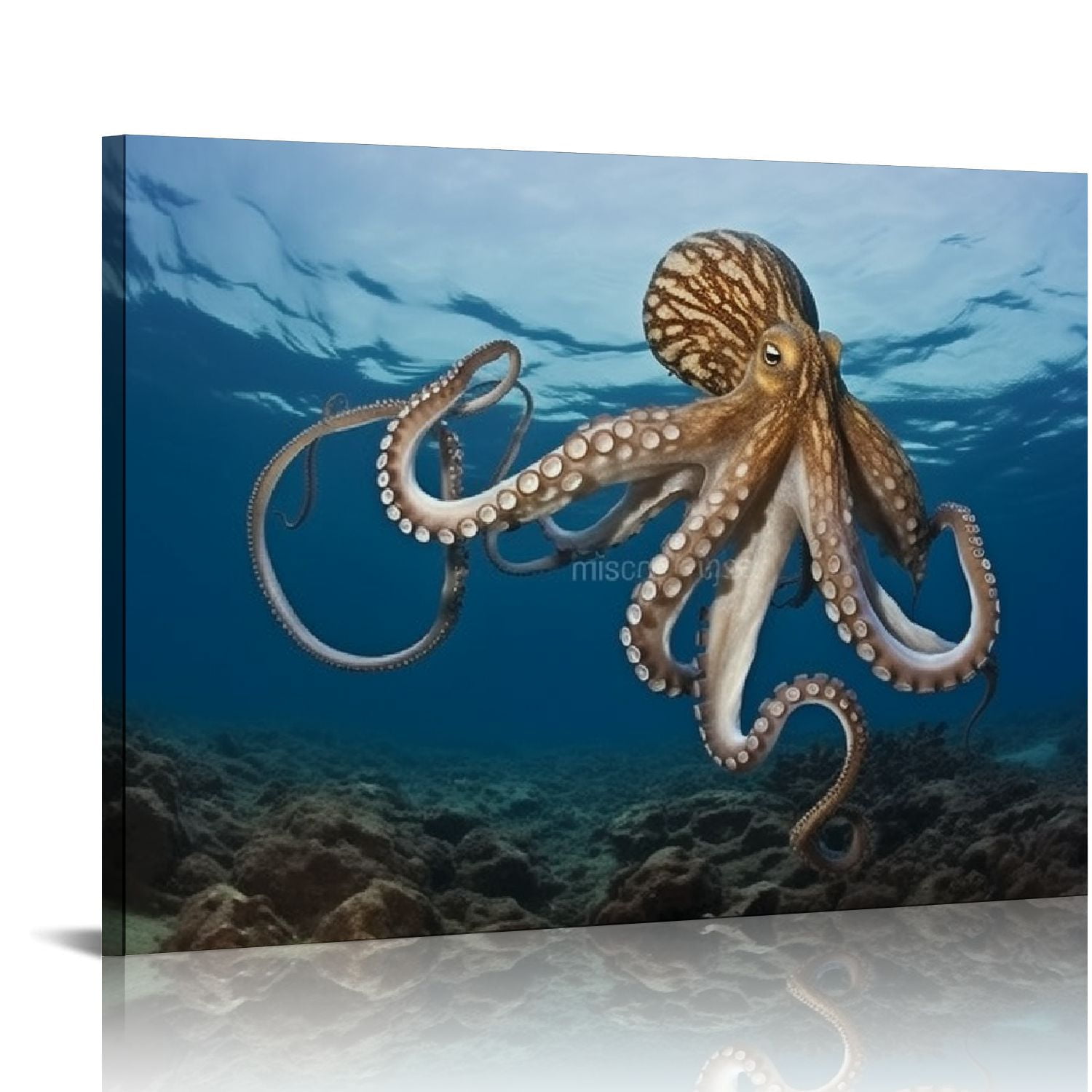Nawypu Day Octopus in Mid-Water, Hawaii Canvas Wall Art Print, Wildlife ...