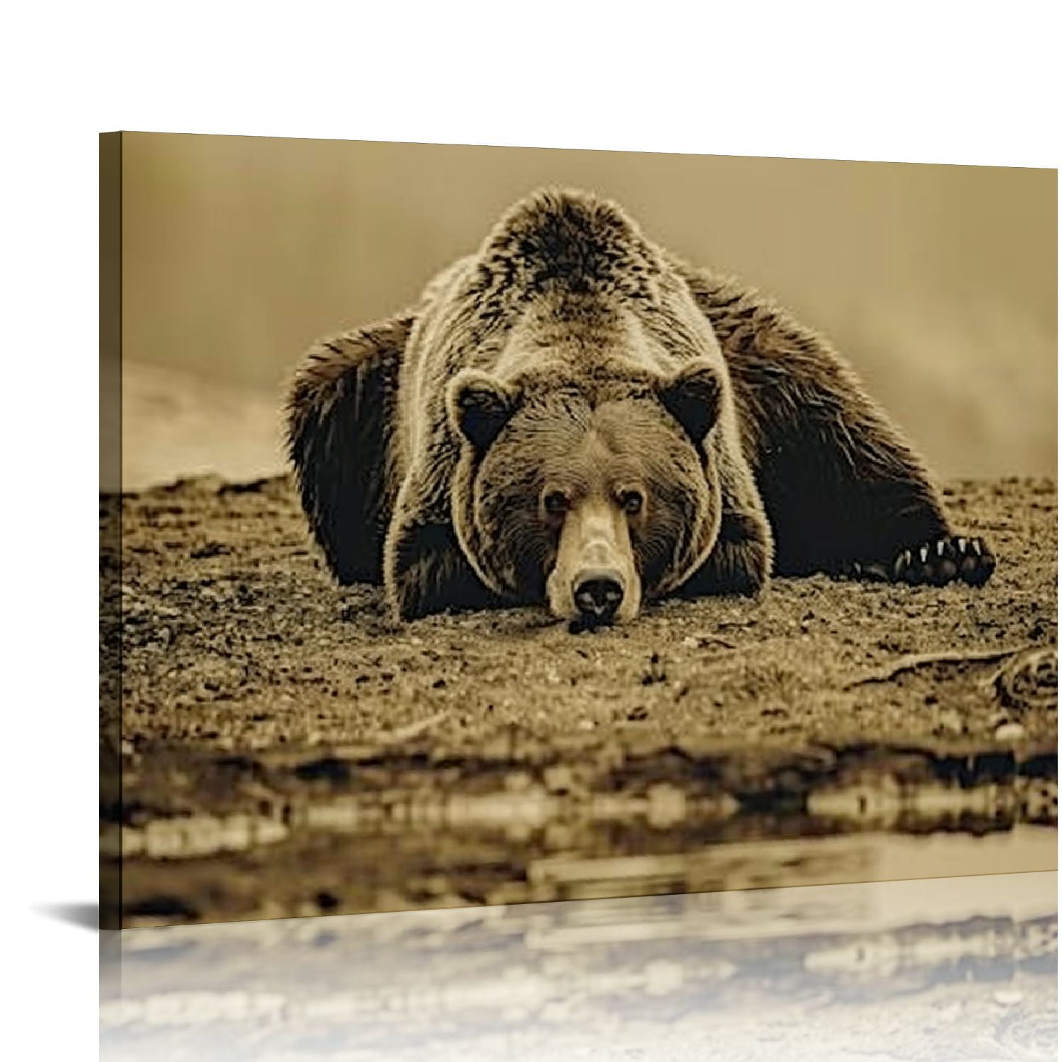 Nawypu Deep Sleep Canvas Wall Art, Bear Home Decor Artwork, Sepia ...