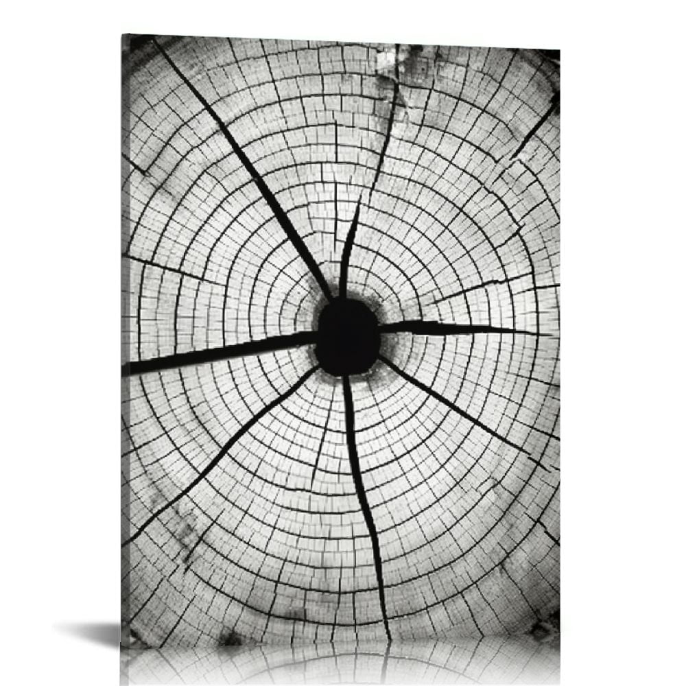 Nawypu Framed Black White Wall Art Tree Ring Canvas Print Art, Nature ...