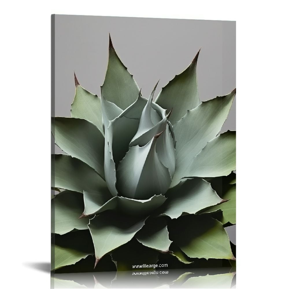 Nawypu Framed Canvas Print Wall Art Ash Green Agave Parryi Succulent on ...