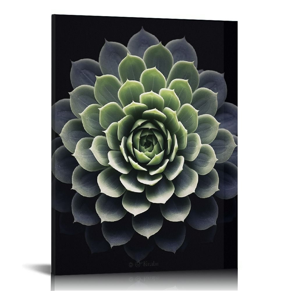 Nawypu Framed Canvas Print Wall Art Close Up Teal Desert Cactus ...