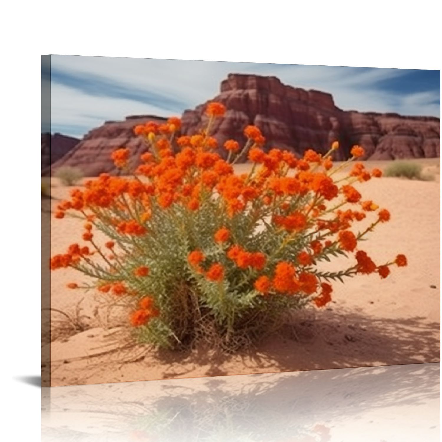Nawypu Framed Canvas Wall Art Print On Canvas Desert Flowers and Ant ...