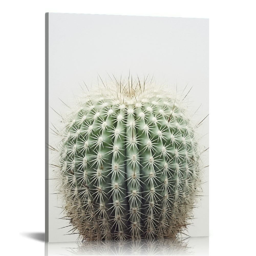 Nawypu Framed Wall Art Collage Print Gallery Cactus, Succulent and ...