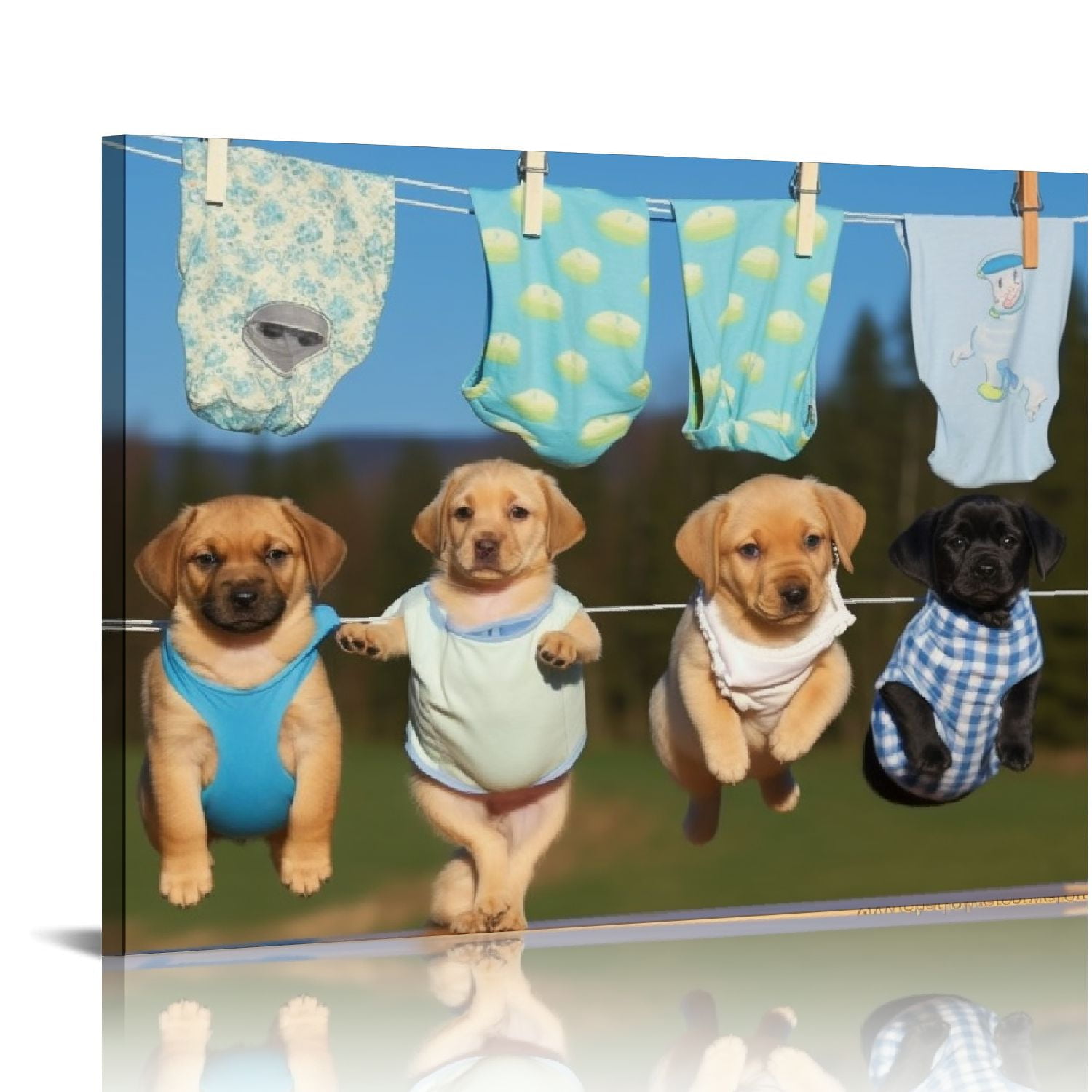 Nawypu Funny American Terrier Puppy With Little Red Cat Hanging On ...