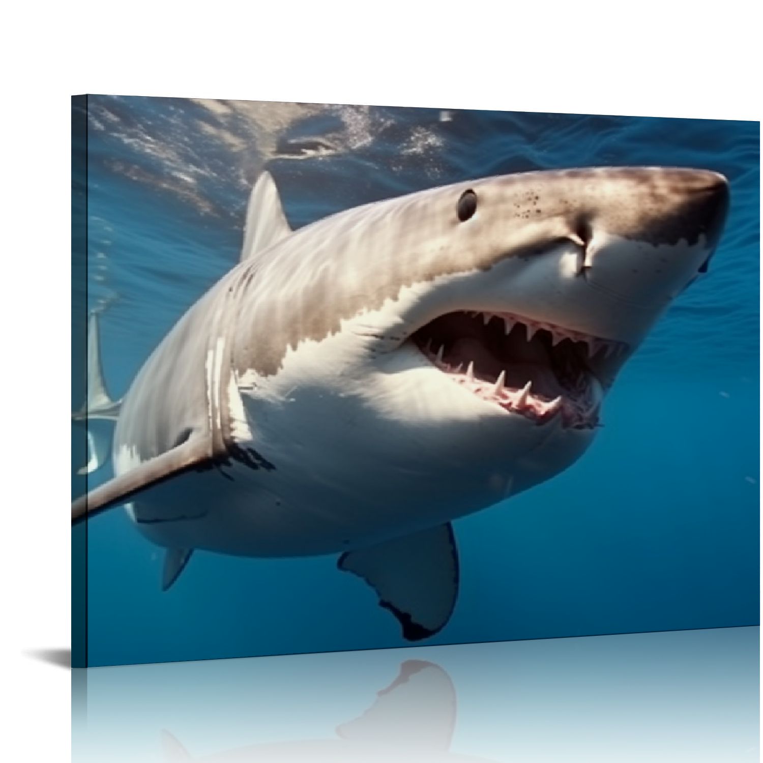 Nawypu Great White Shark Prints Ocean Animal Fish Photos - Walmart.com