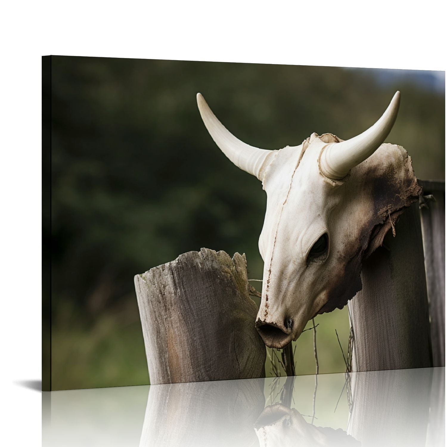 Nawypu Highland Cow Canvas Black and White Landscape Pasture Hairy Cow ...