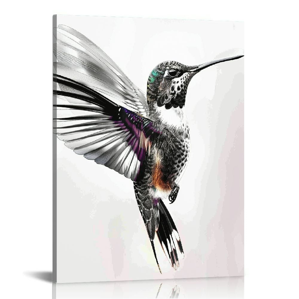 Nawypu Hummingbird Art Prints Posters, Black and White Photography Wall ...