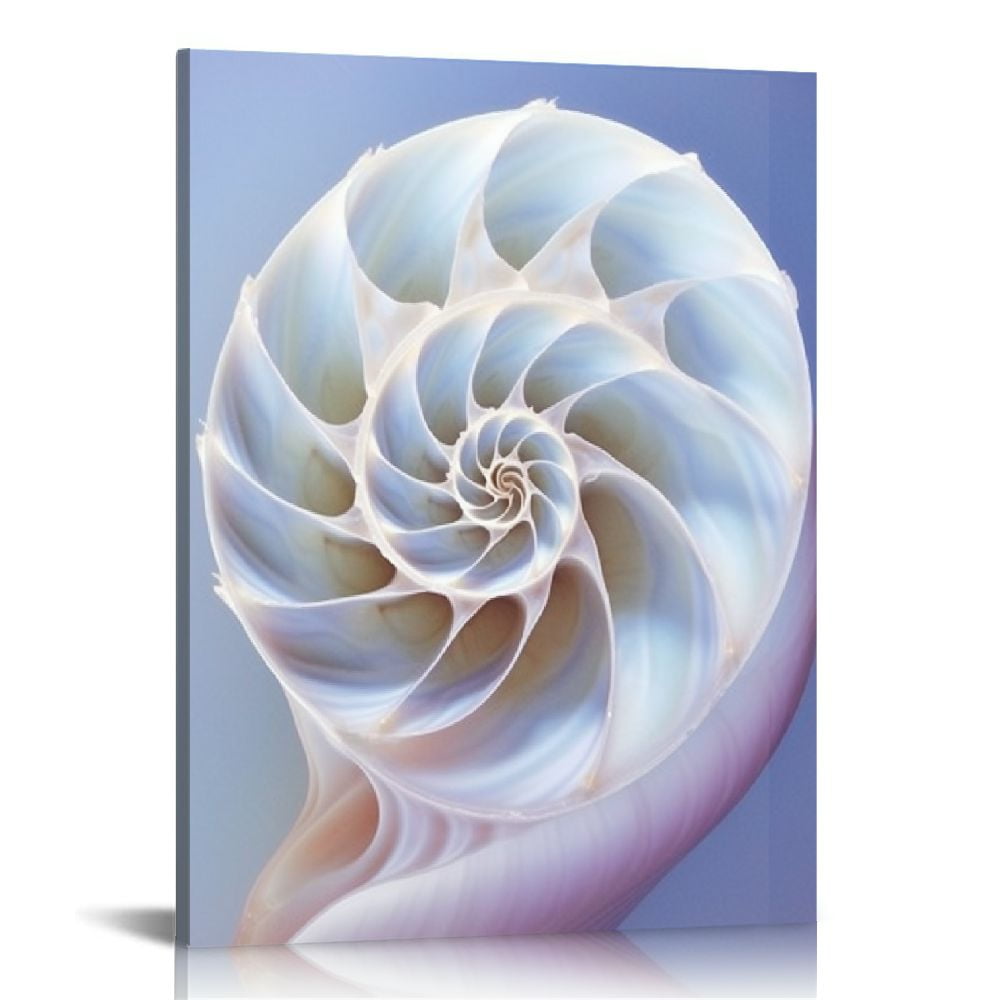 Nawypu Iridescent Pearl Nautilus Shell Canvas Poster Wall Art Decor ...