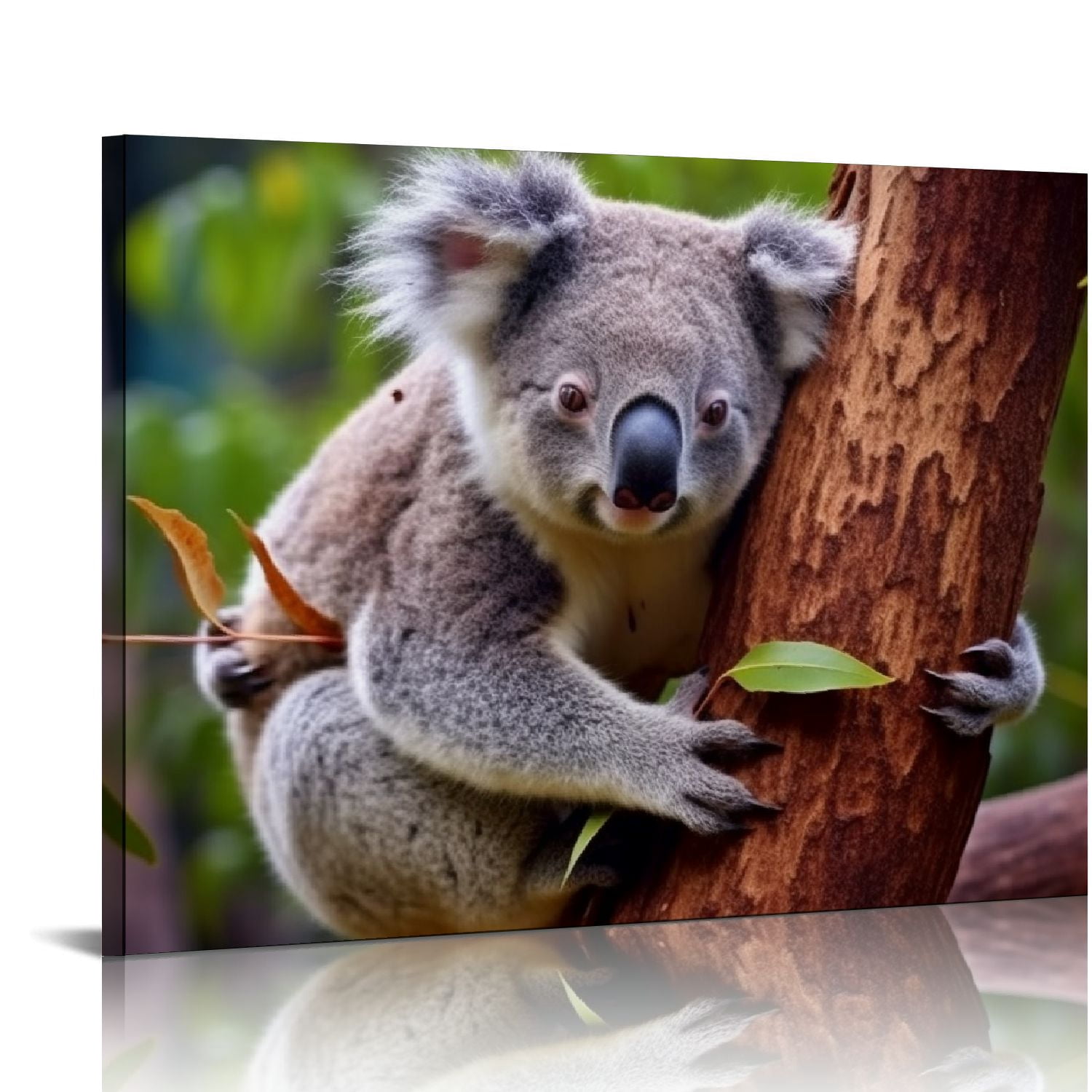 Nawypu Koala Pictures Canvas Wall Art For Living room Prints Poster ...