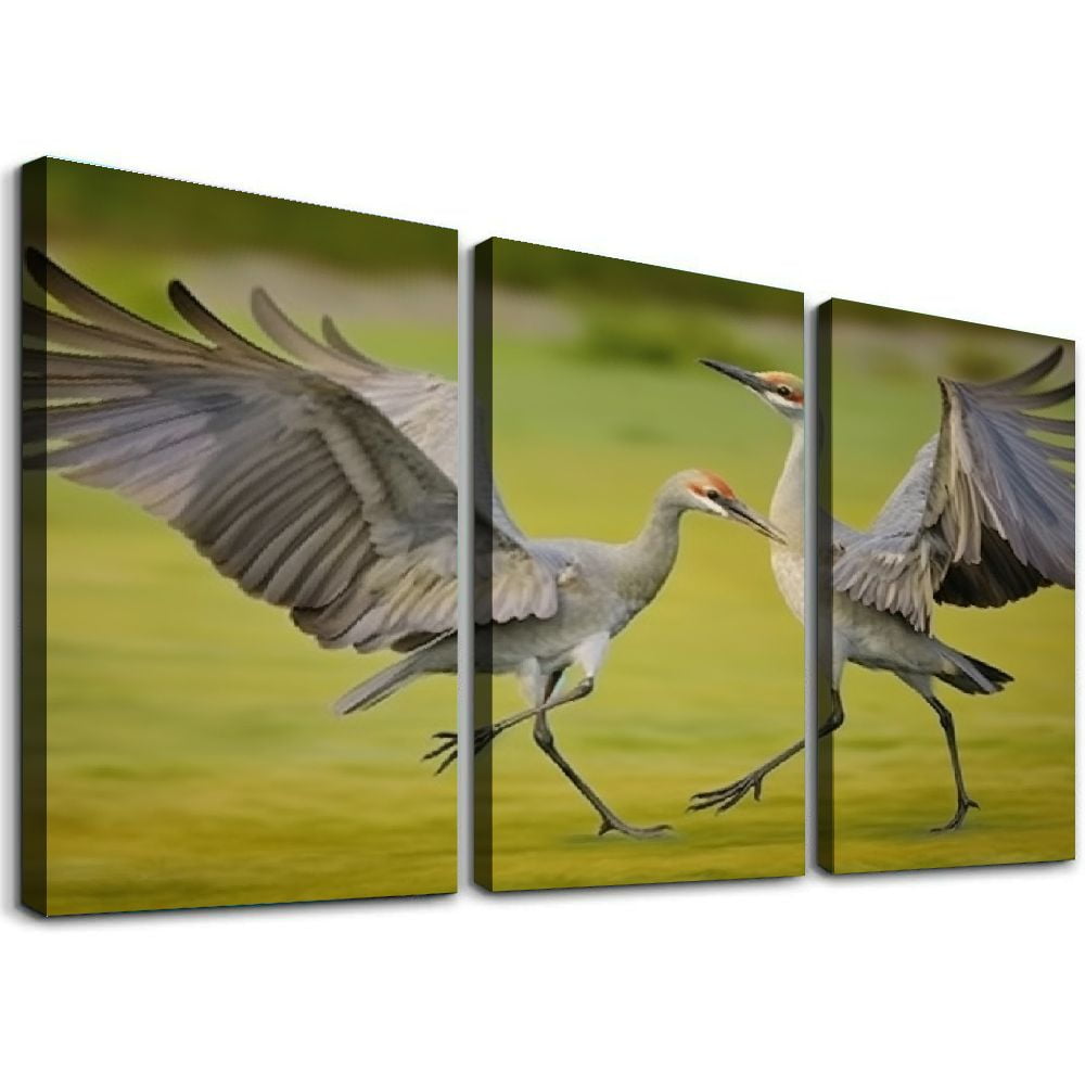 Nawypu Large Framed Wall Art Ready to Hang Mating sandhill cranes dance ...