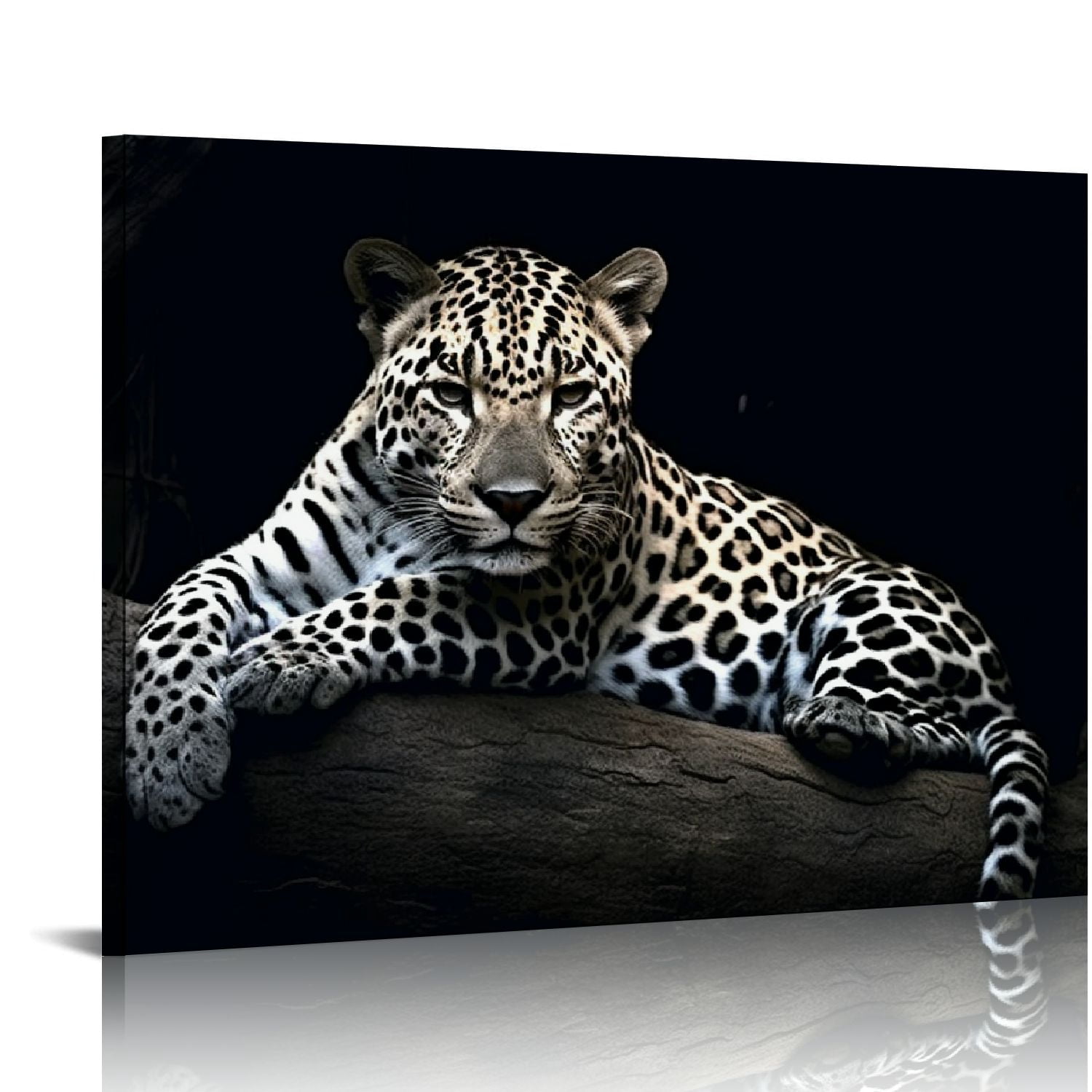 Nawypu Leopard Wall Art for Bedroom Living Room Black and White Leopard ...