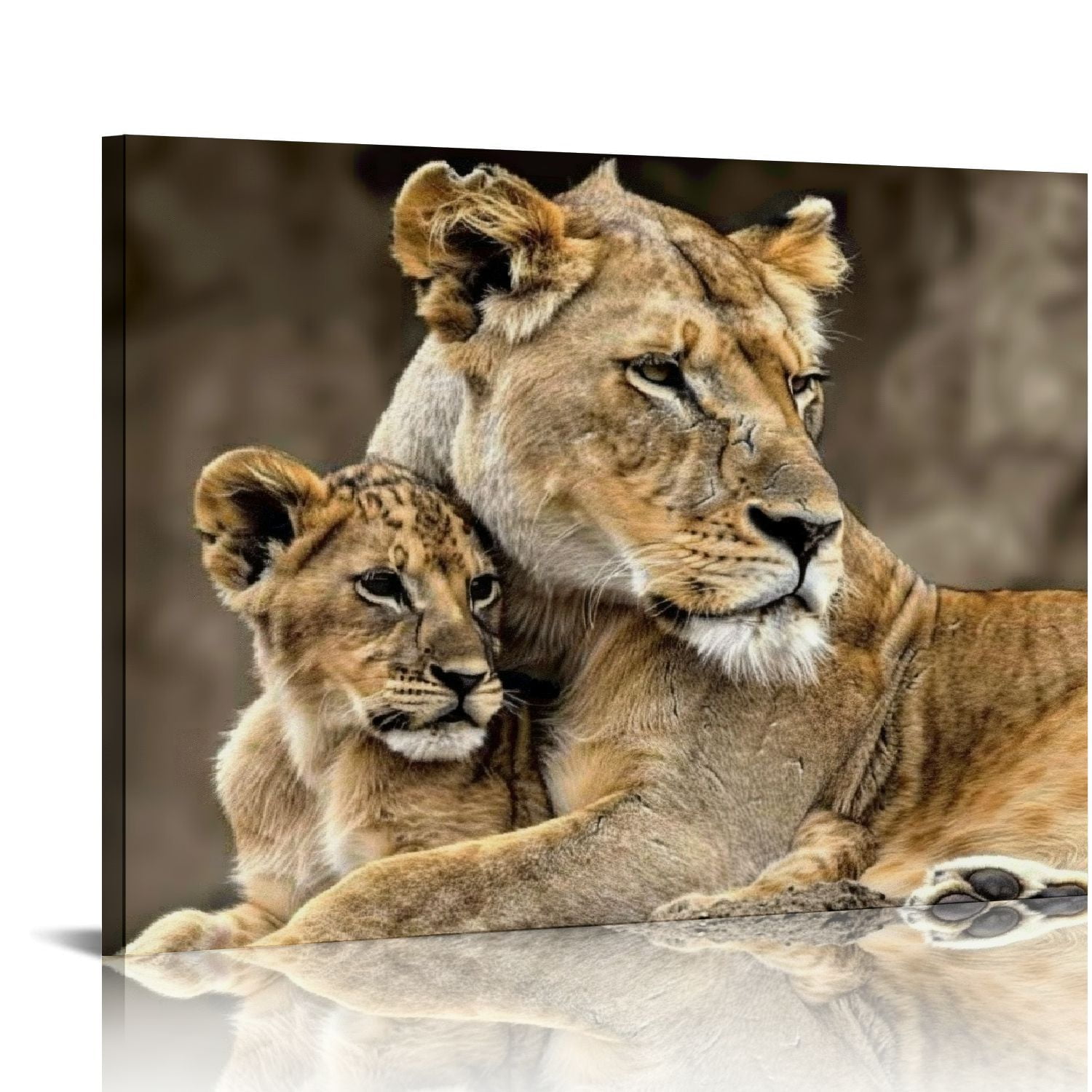 Nawypu Lioness Prints Wall Art Little Lion Canvas Pictures Photography ...