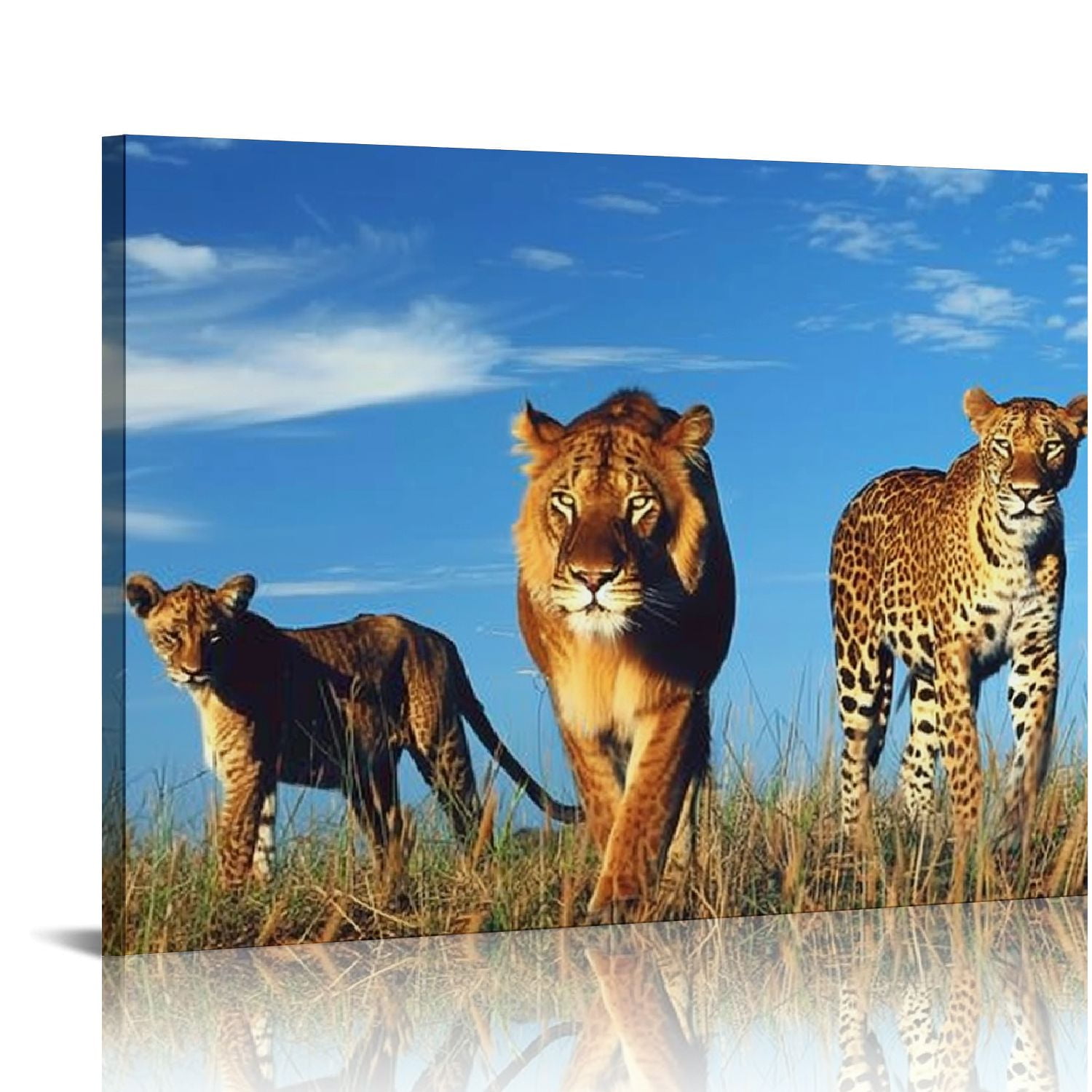 Awypu Lions Tiger Leopard pictures Canvas Print Artwork Beast Animals ...