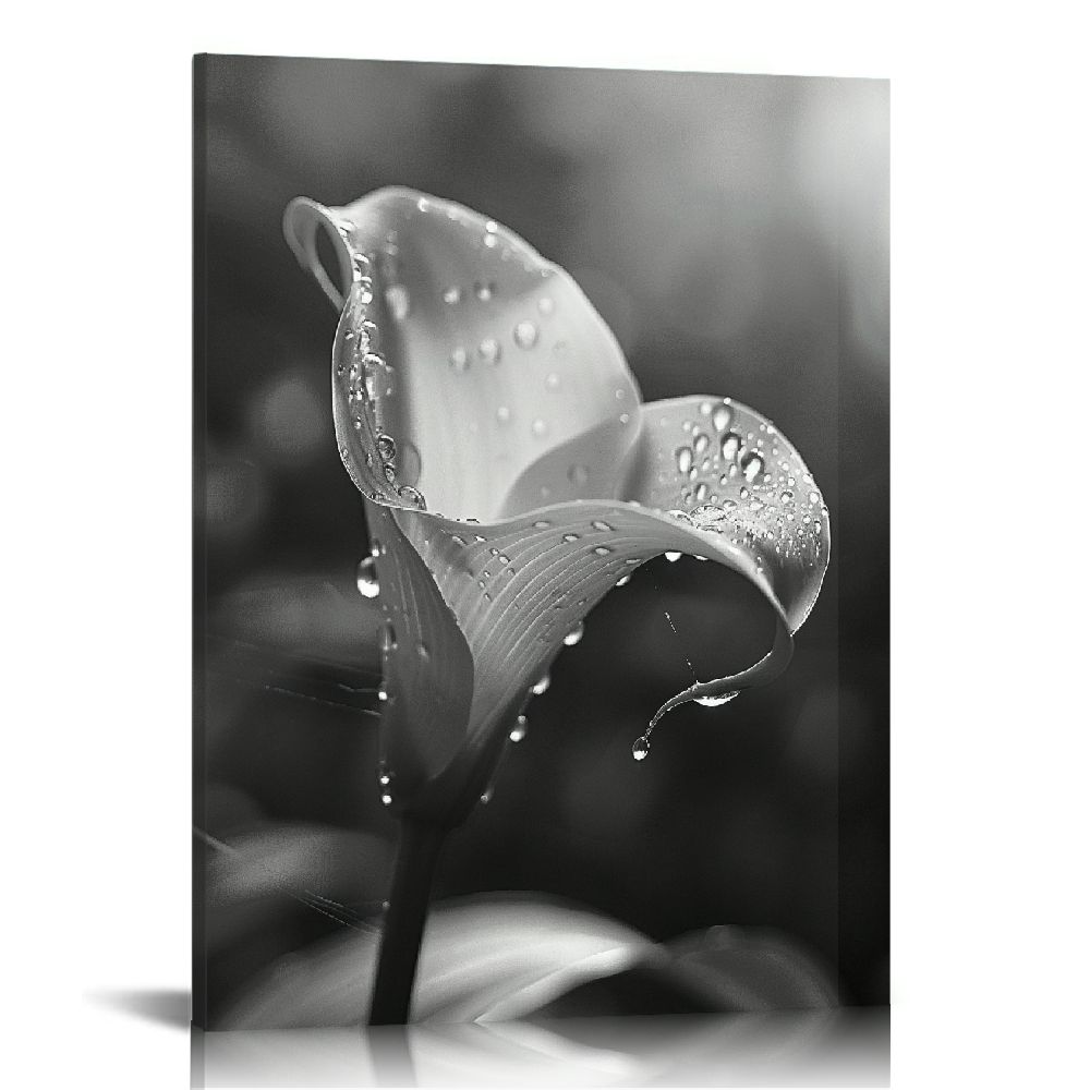 Nawypu LyeArtork Calla Lily Canvas Wall Art Black and White Flower ...