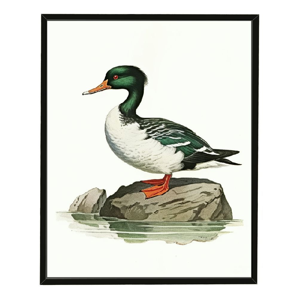 Nawypu Mallard Duck Decor - Duck Decorations for Home, Mallard Duck ...