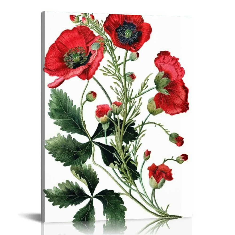 Nawypu Modern minimalist wall art set of prints red poppy flower ...