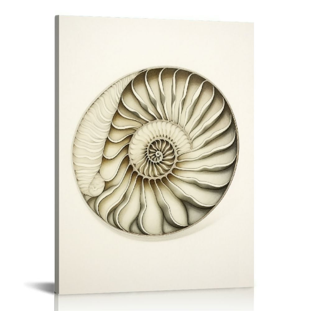 Nawypu Nautilus Art Prints - Set of Four Photos - Makes a Great Gift ...