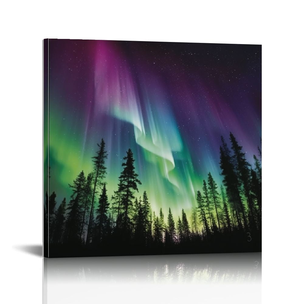 Nawypu Northern Lights Bathroom Decor Canvas Wall Art Painting,Purple ...