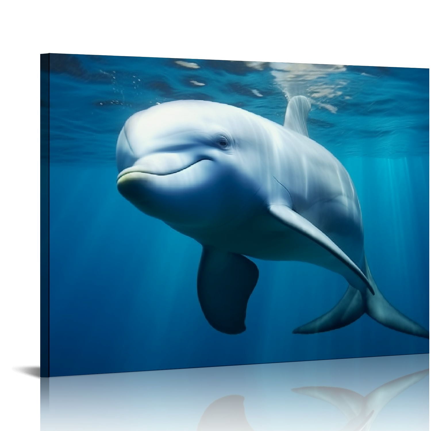 Nawypu Ocean Animal Cute Beluga Whale Sea Underwater Poster Picture HD ...