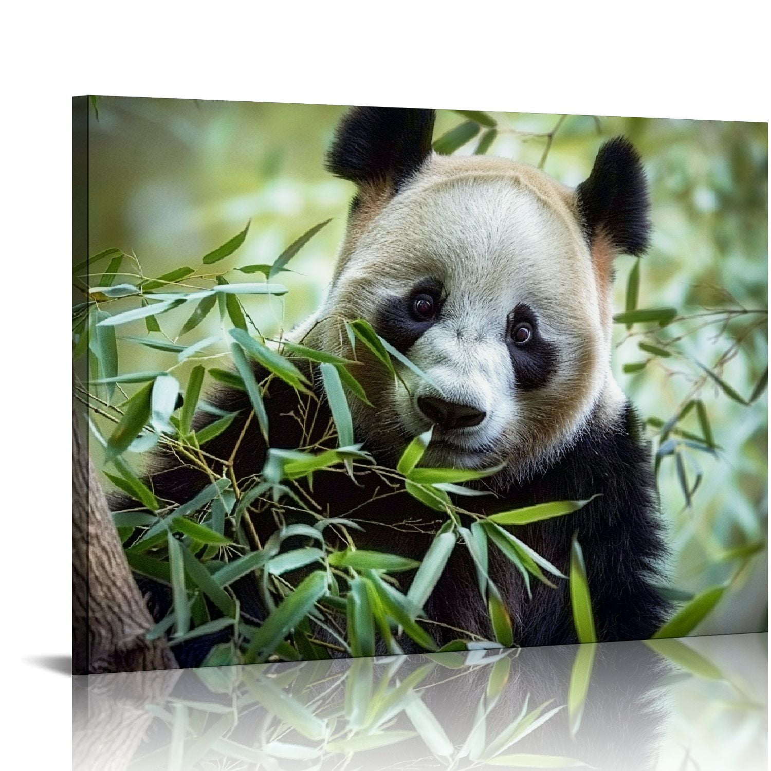 Nawypu Panda Canvas Prints Wall Art Pictures Wall Decor Animal Posters ...