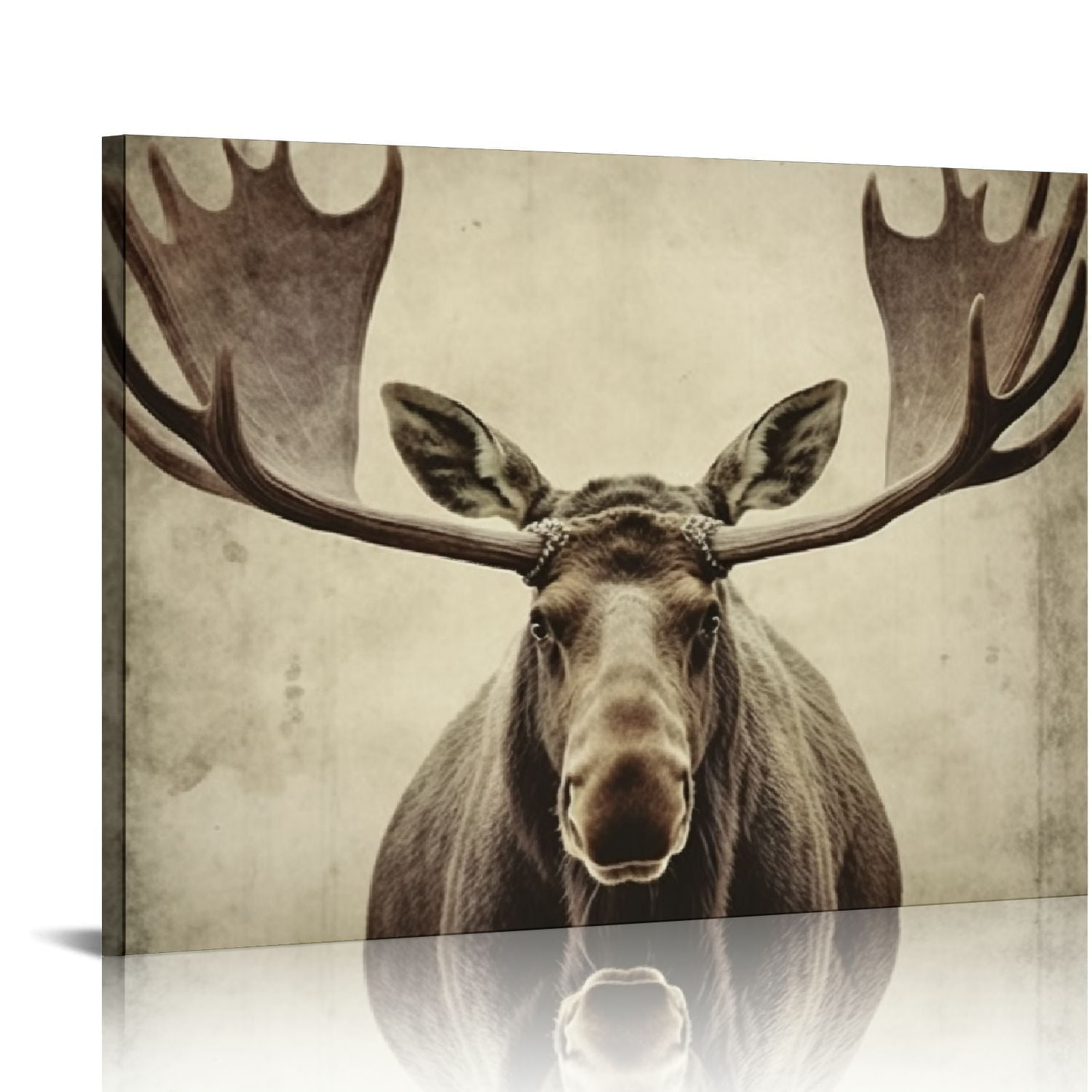 Nawypu Pictures Canvas Wall Art Modern Rustic with Print Vintage Framed ...