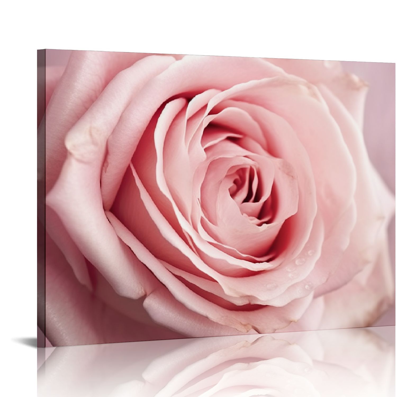 Nawypu Pink Bathroom Decor Pink Rose Close Up Canvas Wall Art Blush ...