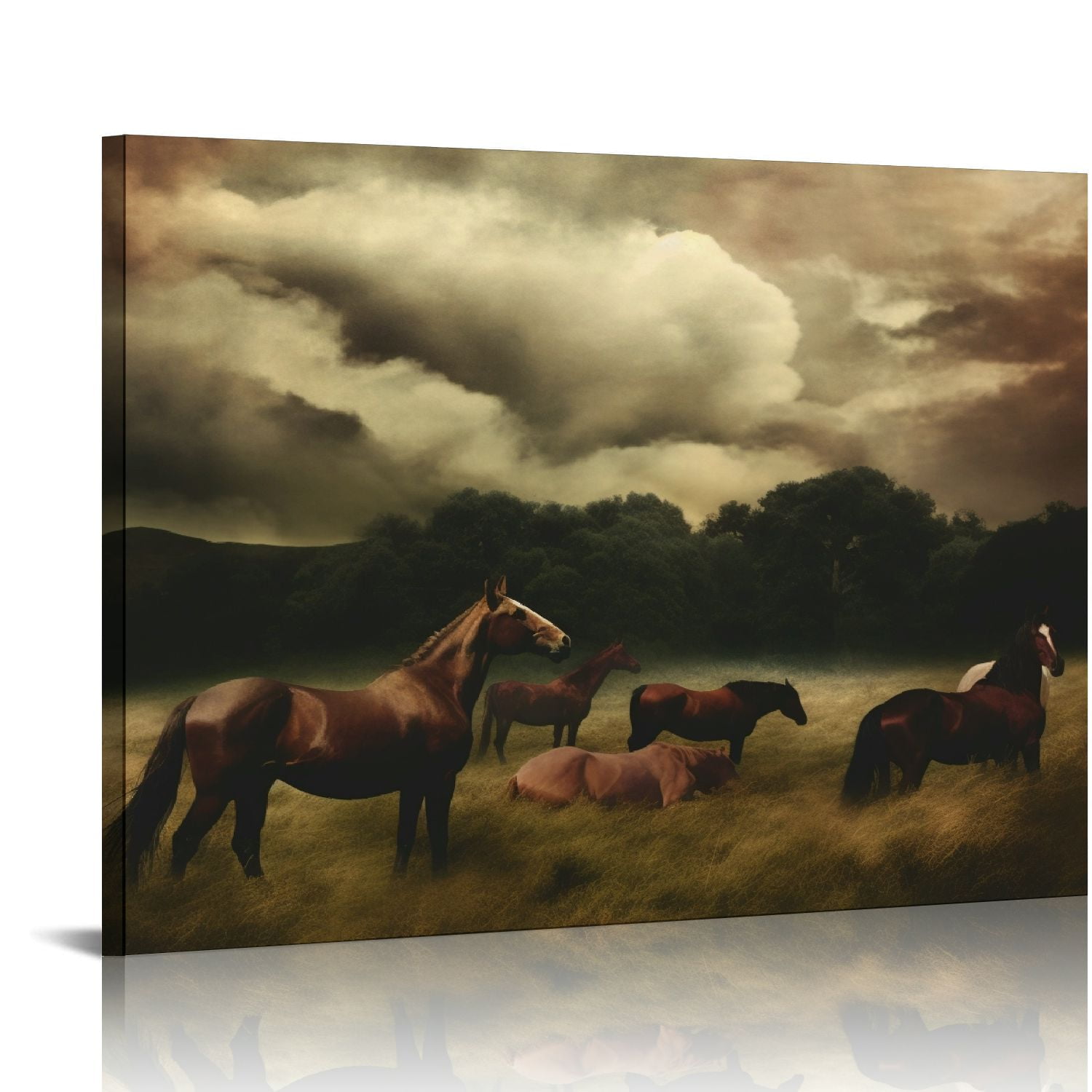 Nawypu Ranch Horse Canvas Wall Art: Black and White Equines Friendly ...