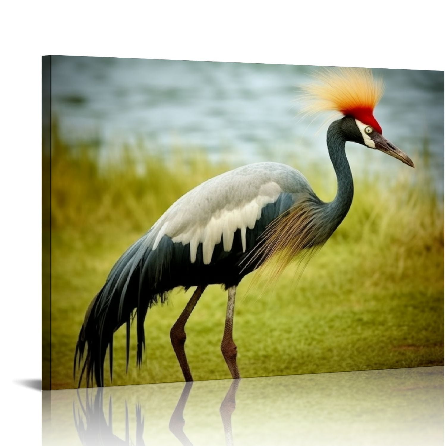 Nawypu Red Crowned Crane Poster Canvas Pictures Wall Art Decor Prints ...