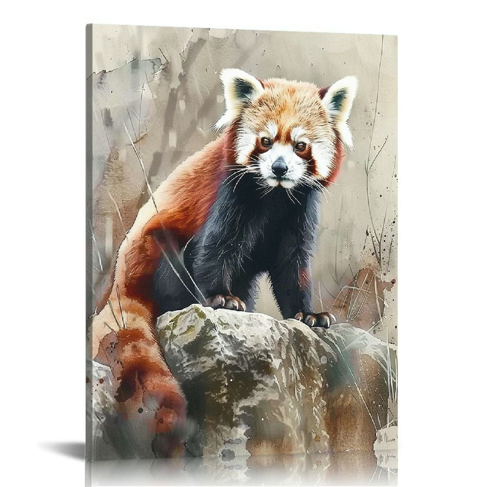 Nawypu Red Panda Adorable Animal Canvas Wall Art Contemporary Simple ...