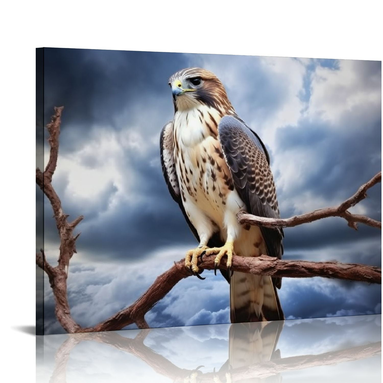 Nawypu Red-Tail Hawk Bird Photograph Canvas Poster And Wall Art Picture ...