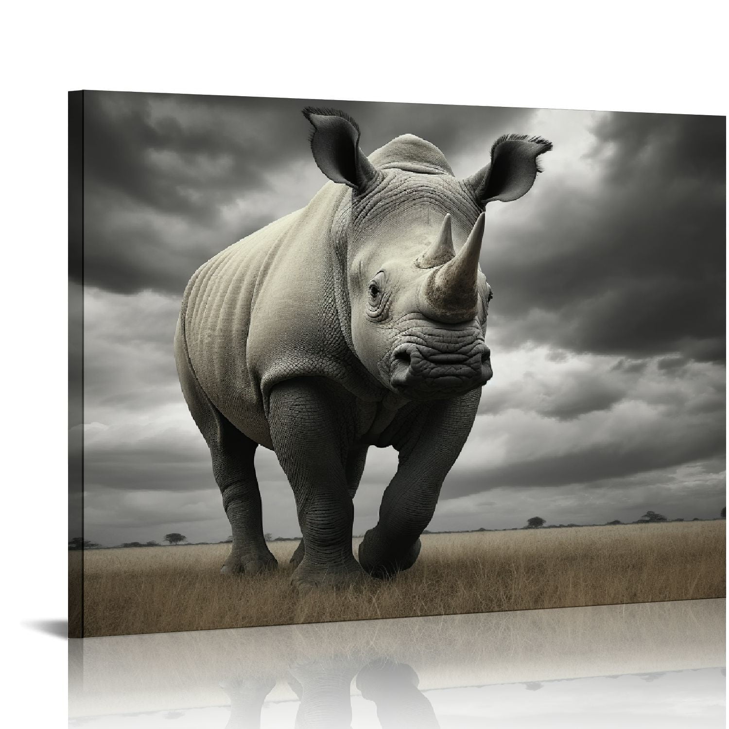 Nawypu Rhino Black And White Canvas Prints Wall Art Pictures Wall Decor ...