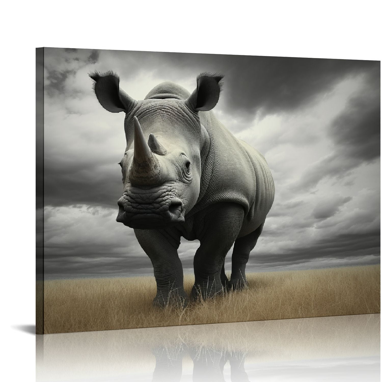 Nawypu Rhino Black And White Canvas Prints Wall Art Pictures Wall Decor ...