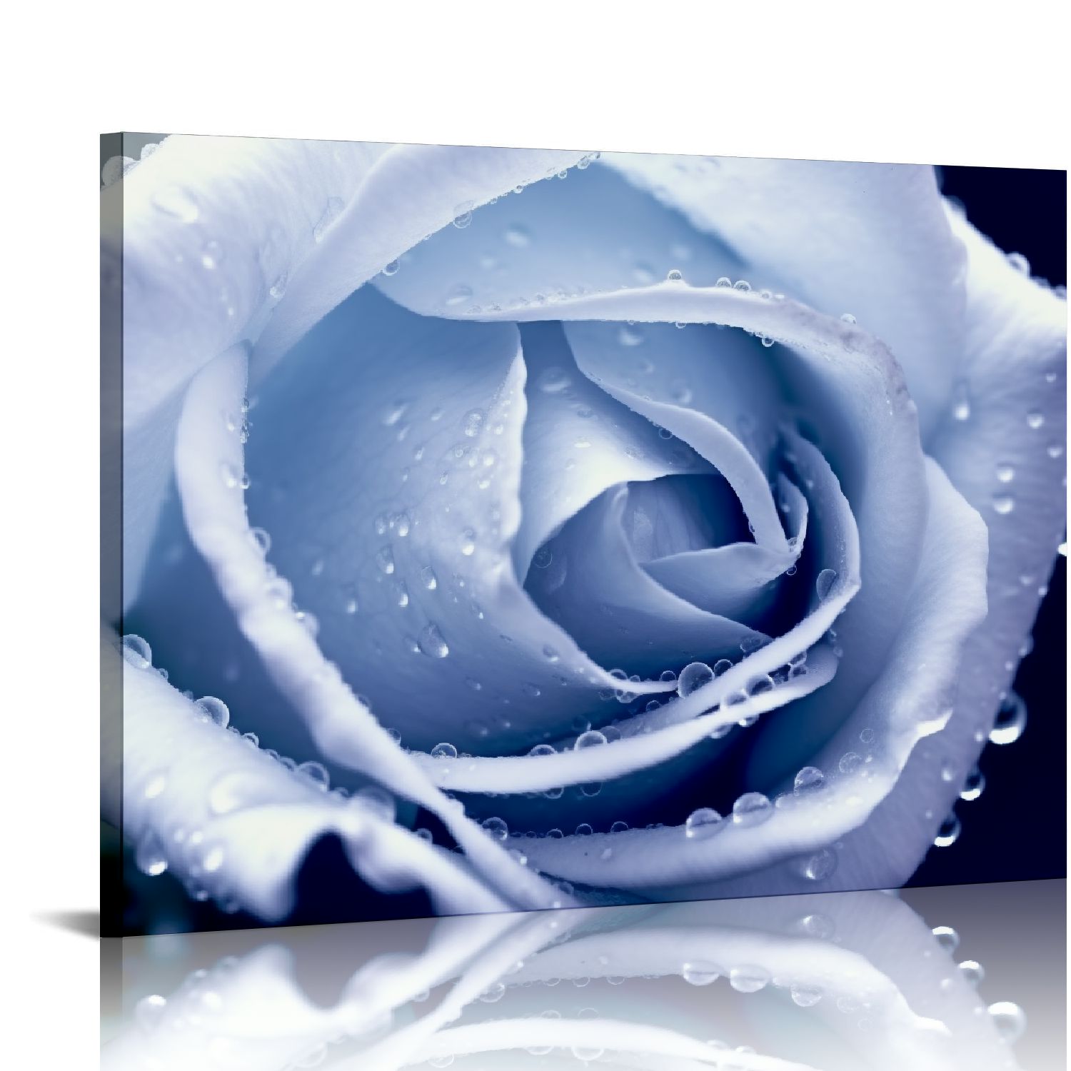 Nawypu Rose Canvas Wall Art Flower Wall Paintings Colorful Nature ...