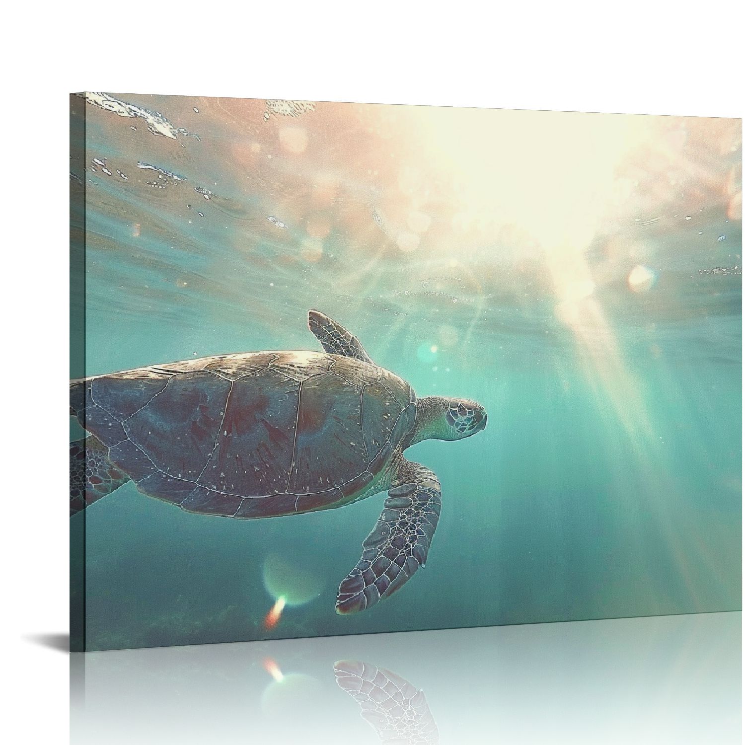 Nawypu Sea Animals Creatures Photography Photographic Prints, Dolphin ...