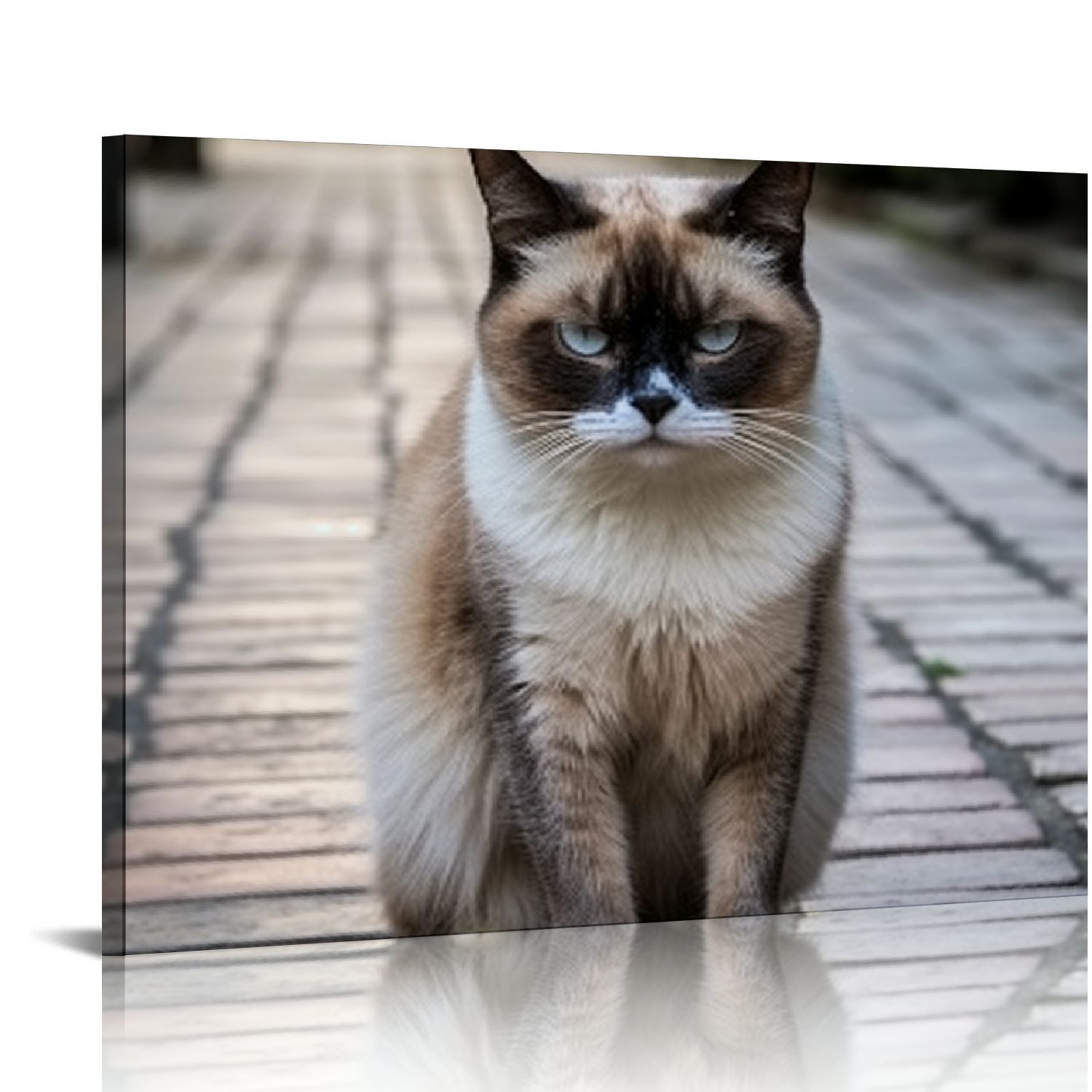 Siamese Cat Canvas Wall Art For Living room Poster Printing、Bedroom ...