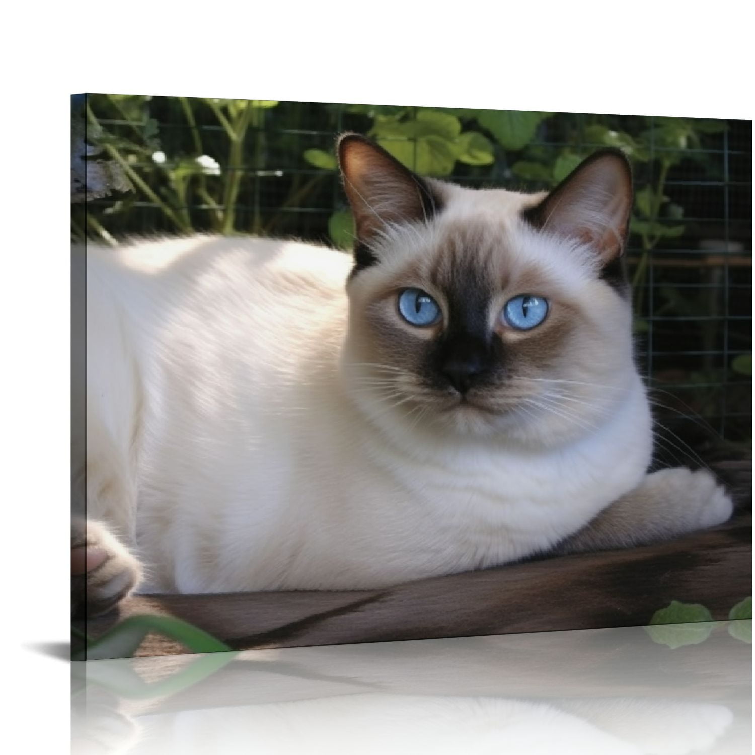 Nawypu Siamese Cat Pictures Canvas Wall Art Animal Poster Prints Wall ...