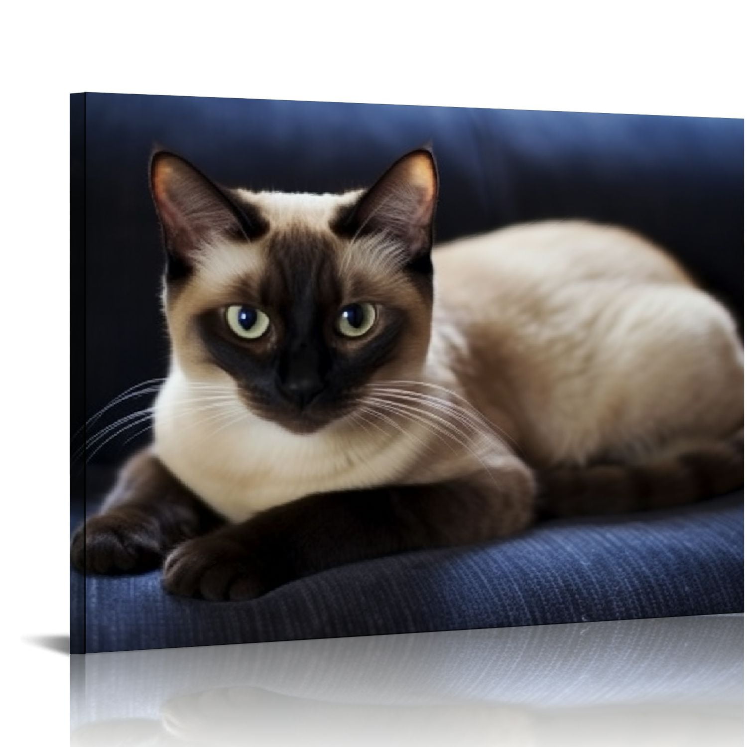Nawypu Siamese Cat Pictures Wall Decor Poster Canvas Wall Art Animal ...