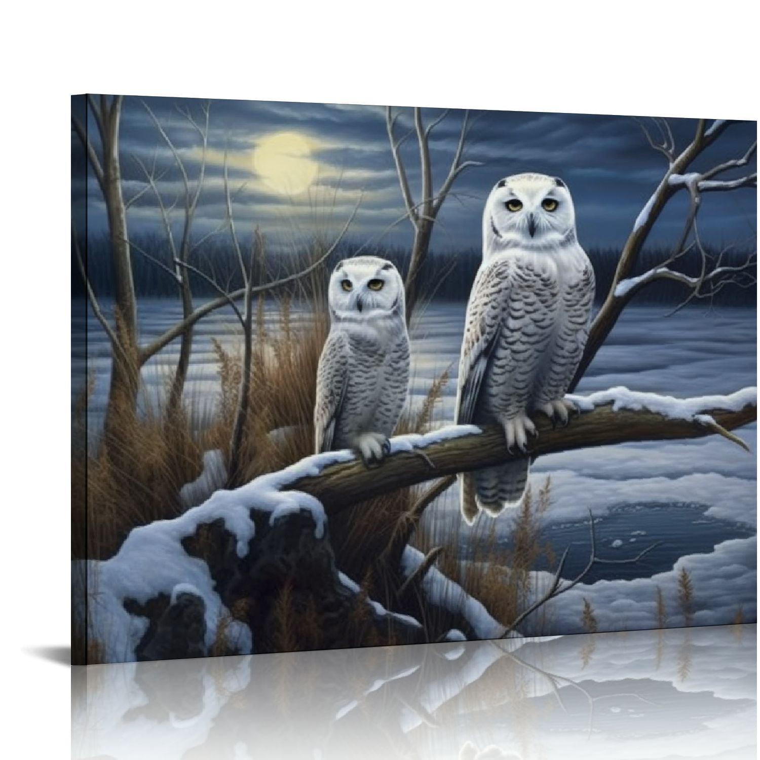 Nawypu Snowy Owls Canvas Wall Art Print, Owl Artwork - Walmart.com