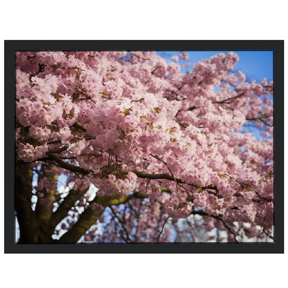Nawypu Spring Flowering Trees Branches Sakura Poster Canvas Prints Wall ...