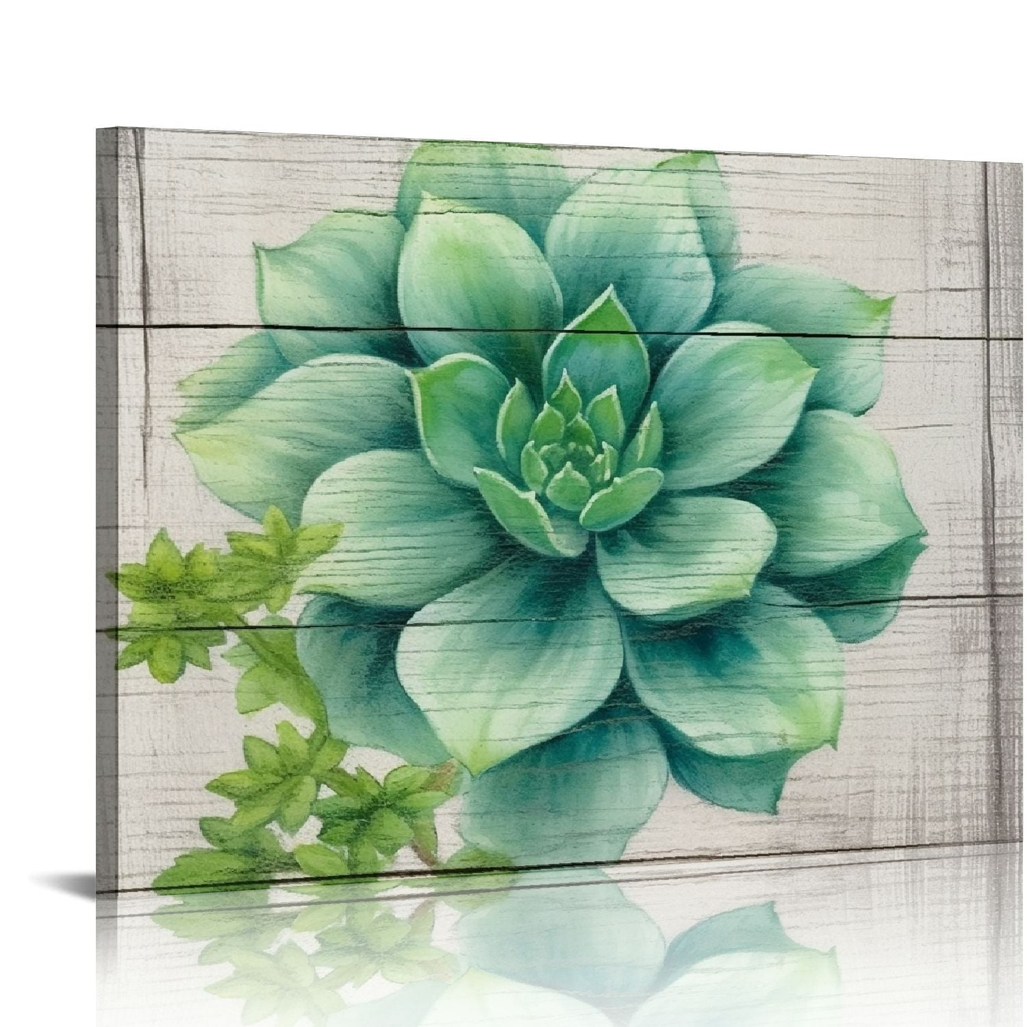 Nawypu Succulent Wall Art for Living Room Bathroom Wall Decor ...