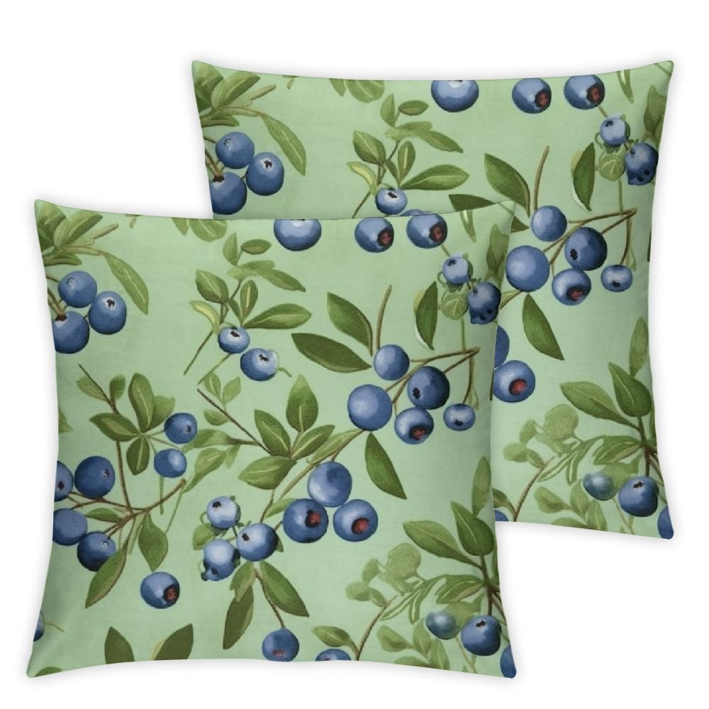 Nawypu Summer Blueberries Pattern Throw Pillow Covers Pillow Cases ...