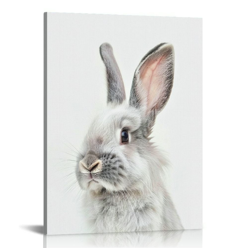Nawypu Sylvie Baby Bunny Rabbit Animal Print Portrait Framed Canvas ...