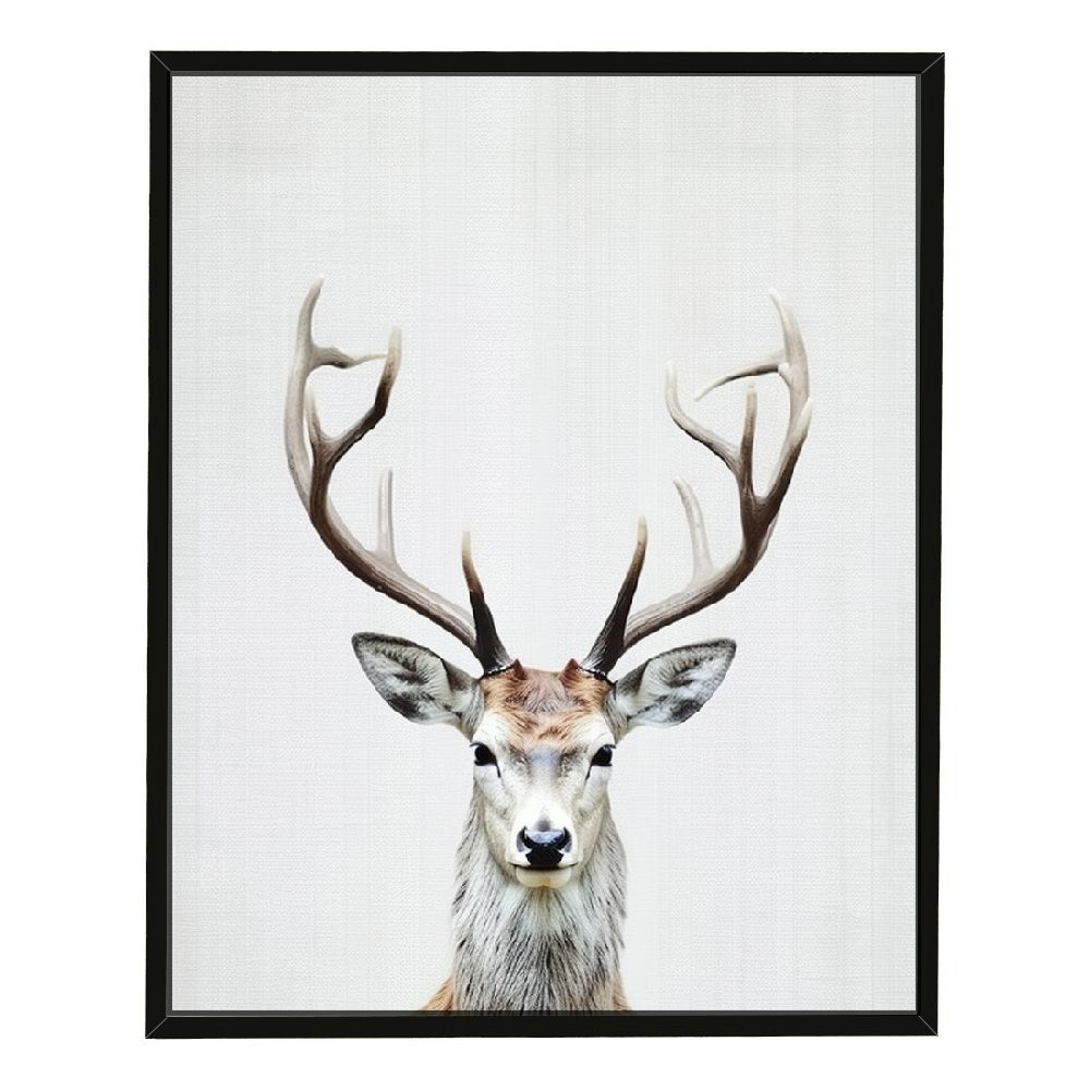 Nawypu Sylvie Deer Color Framed Canvas Wall Art by Simon Te of Tai ...