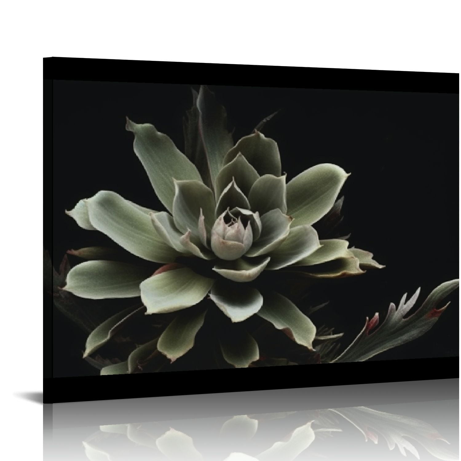 Nawypu Sylvie Succulent Canvas Wall Art, Decorative Botanical Art for ...
