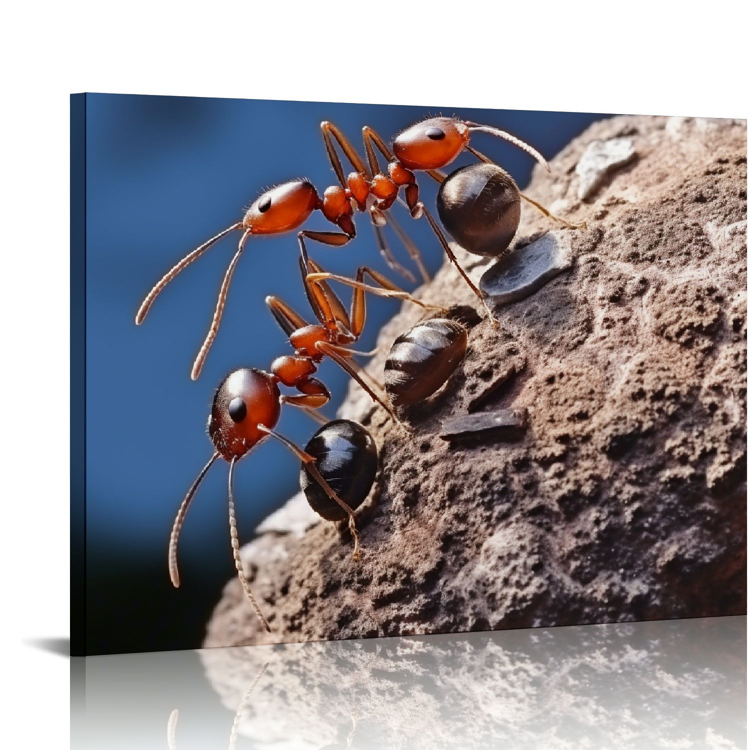 Nawypu Team of Ants Rolls Stone Uphill Teamwork Concept Poster ...